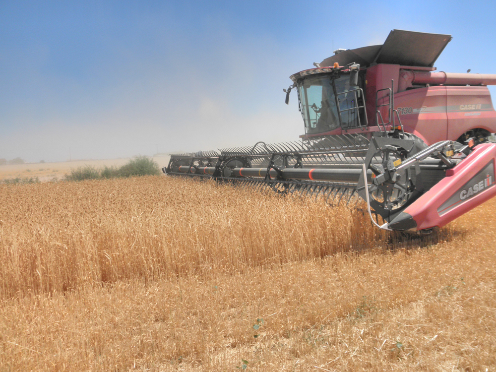 Gallery | Ramona Farms